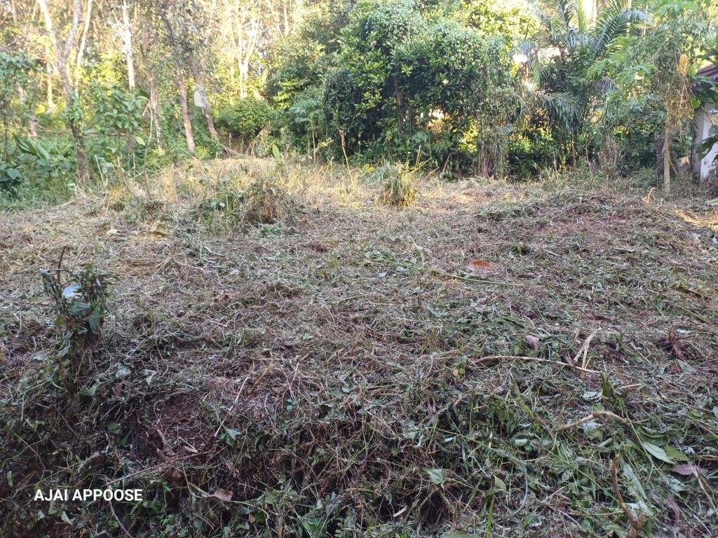 Residential Plot for Sale in Ranni | Pathanamthitta