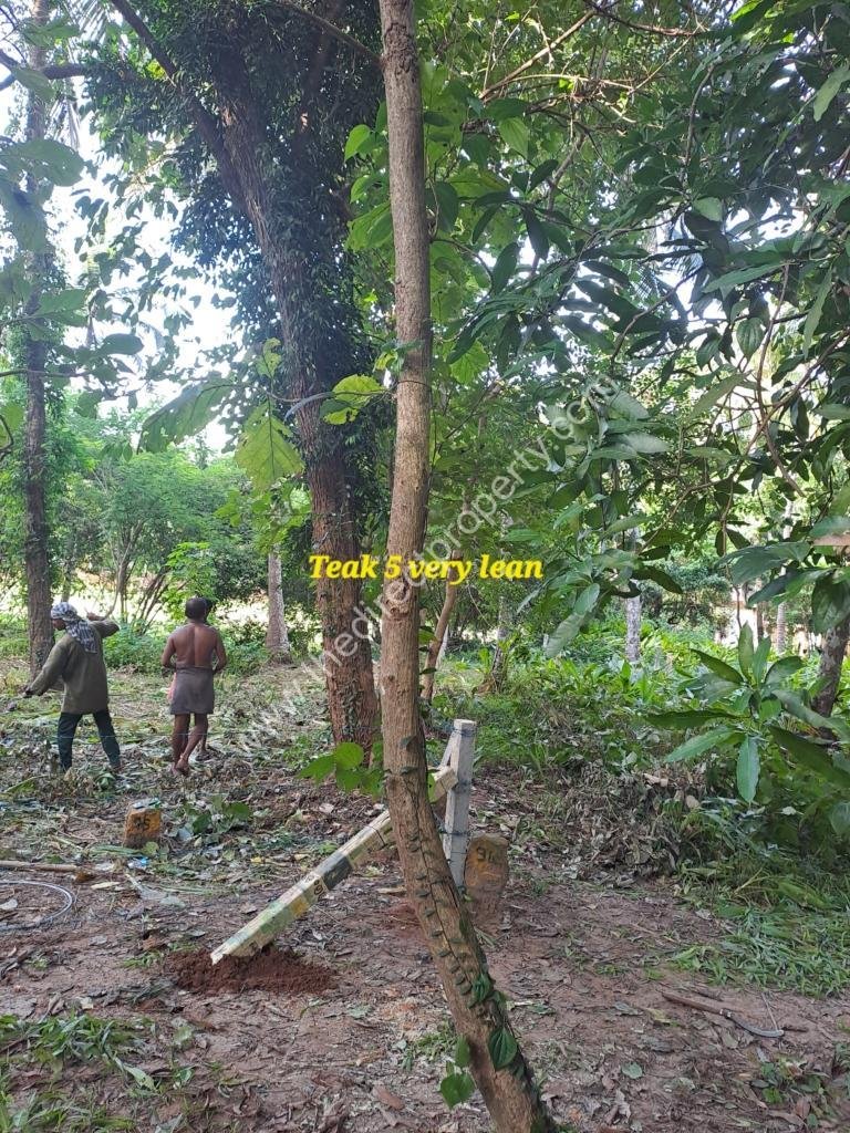 22.5 Cent LAND FOR SALE