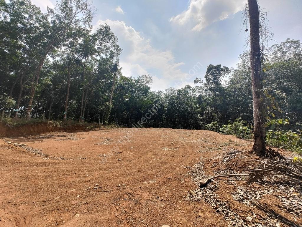 Residential Plot Kolenchery, Ernakulam