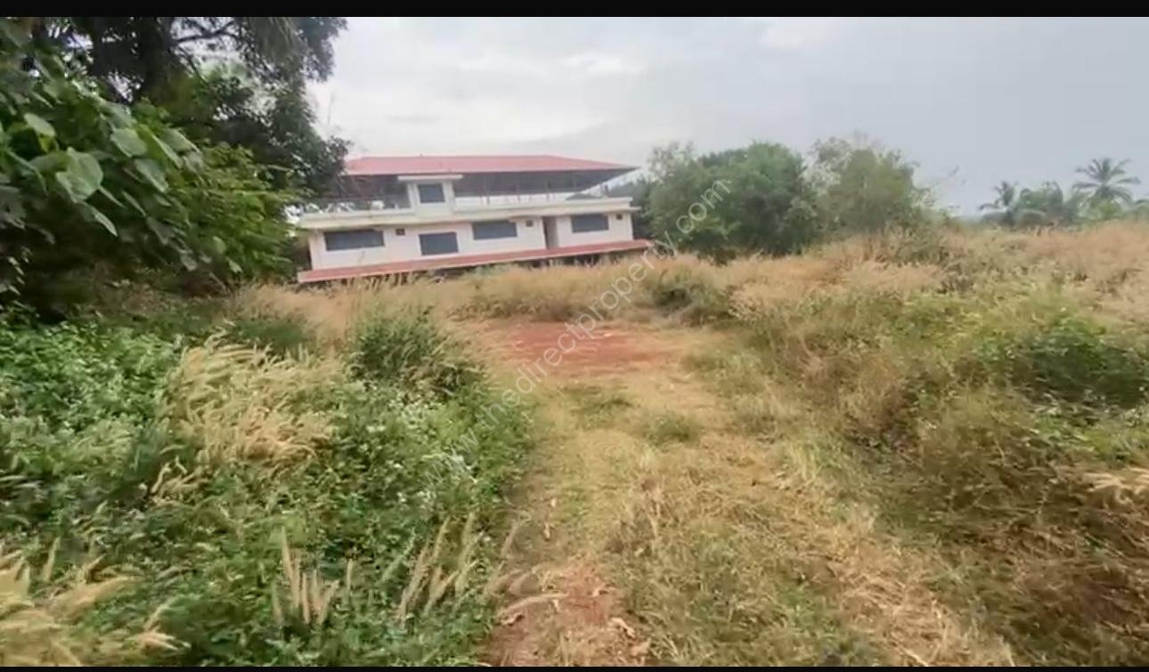 Plot for Sale – Edapal, Kerala