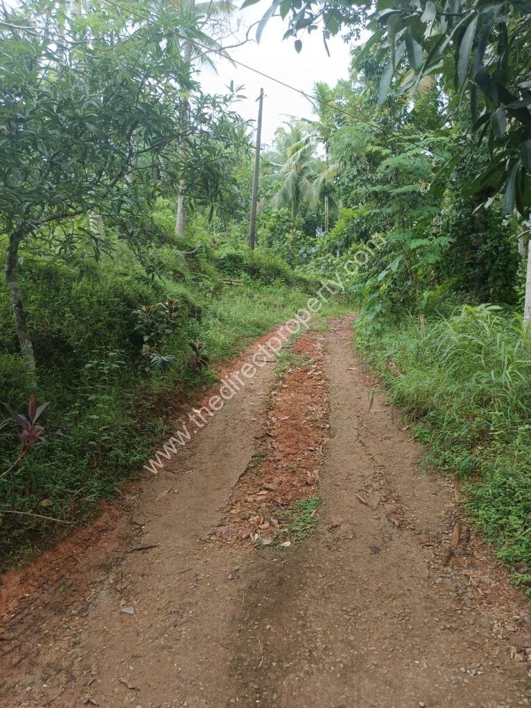 Land for sale in Nettayam