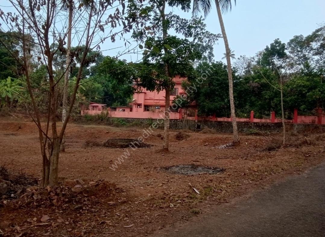 Plot in Kallooppara for Sale